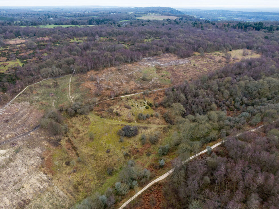 Headley Heath, Surrey Hills - Surrey Visuals