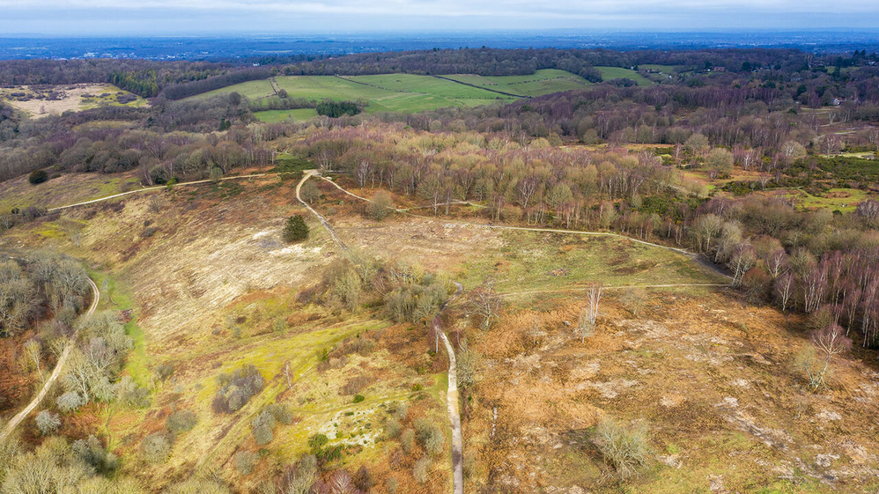 Headley Heath, Surrey Hills - Surrey Visuals